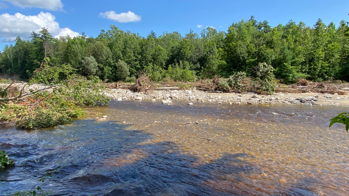 Flood Recovery & Climate Resilience – Ruth for Vermont